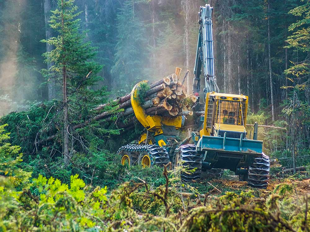 HSM 208F BigFoot - HSM Hohenloher Spezial-Maschinenbau GmbH ...